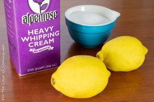 Lemon Posset | For the Love of Cooking