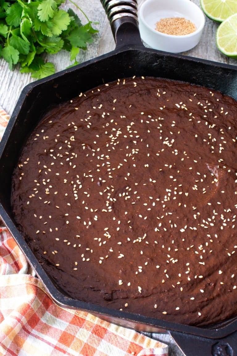 Homemade Mole Sauce | For the Love of Cooking